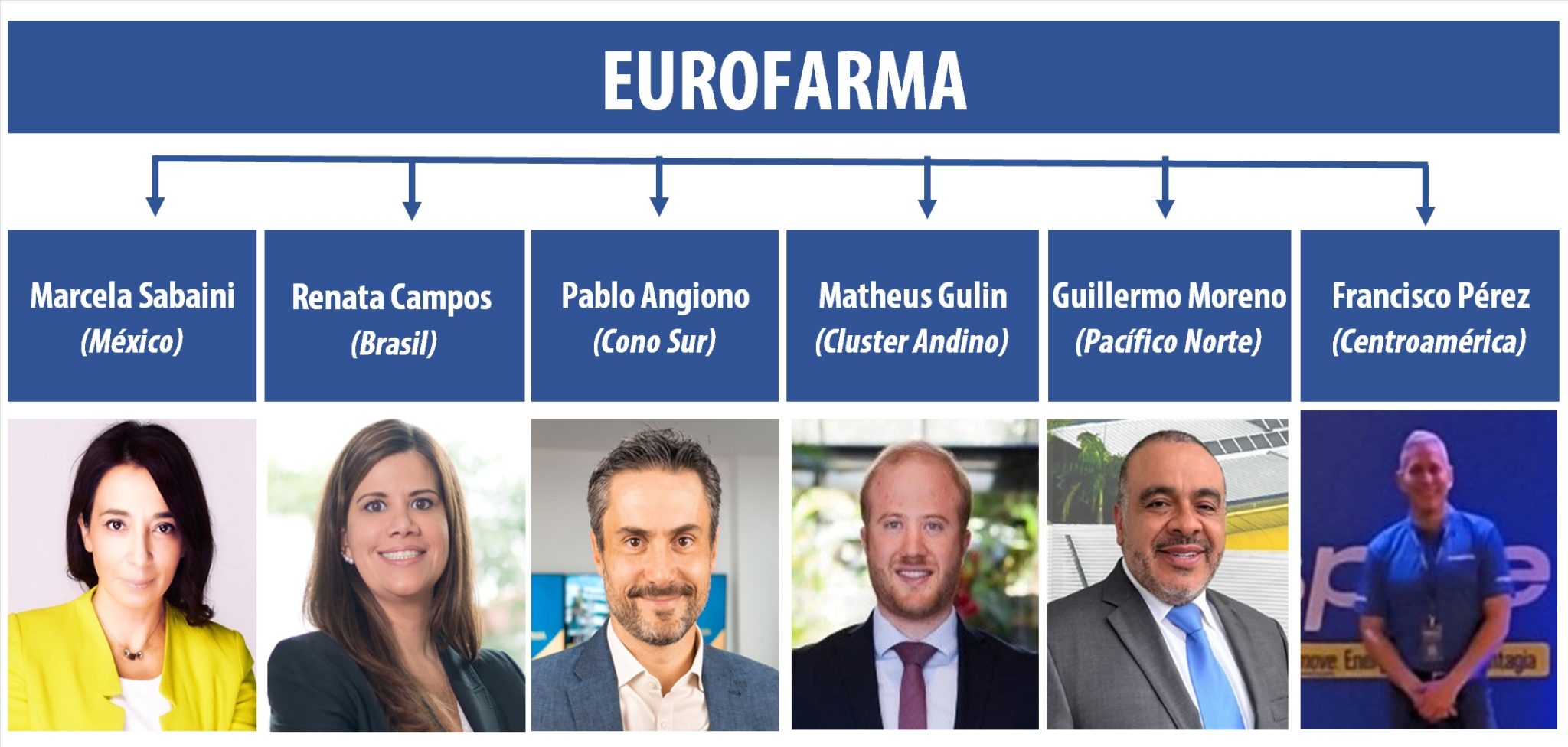 Eurofarma: la región bajo clusters - Pharmabiz.NET